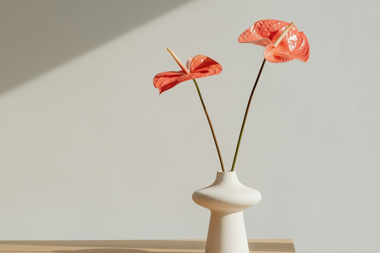 We.Support: инструкция